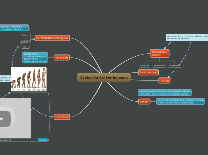 Evolución del ser humano - Mind Map